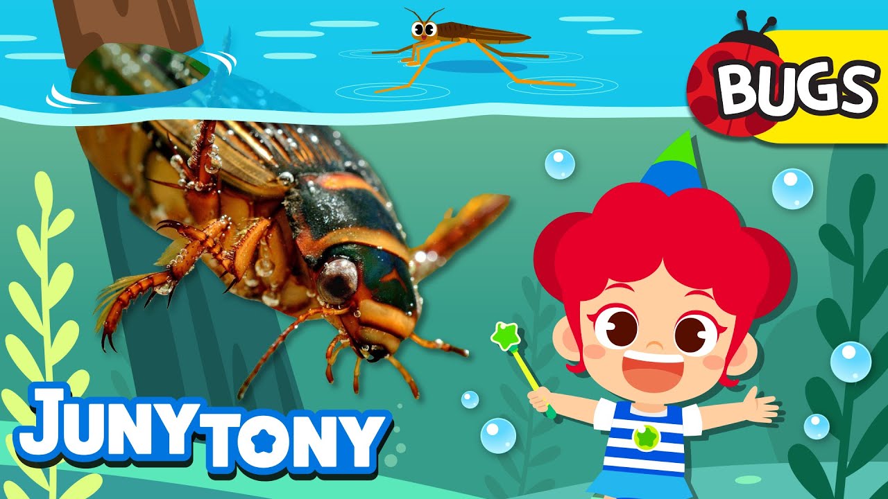 Aquatic Bugs | Cutie-crawly Friends! | 🐛Bug Song | Insect Songs for ...