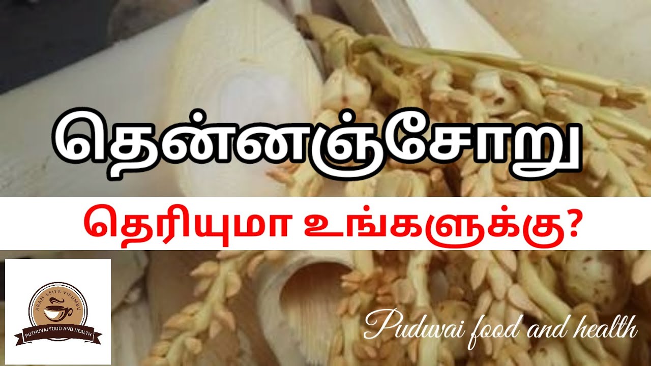 தென்னஞ்சோறு | தென்னங்குறுத்து| Thennajoaru | Thennaguruthu benefits in ...