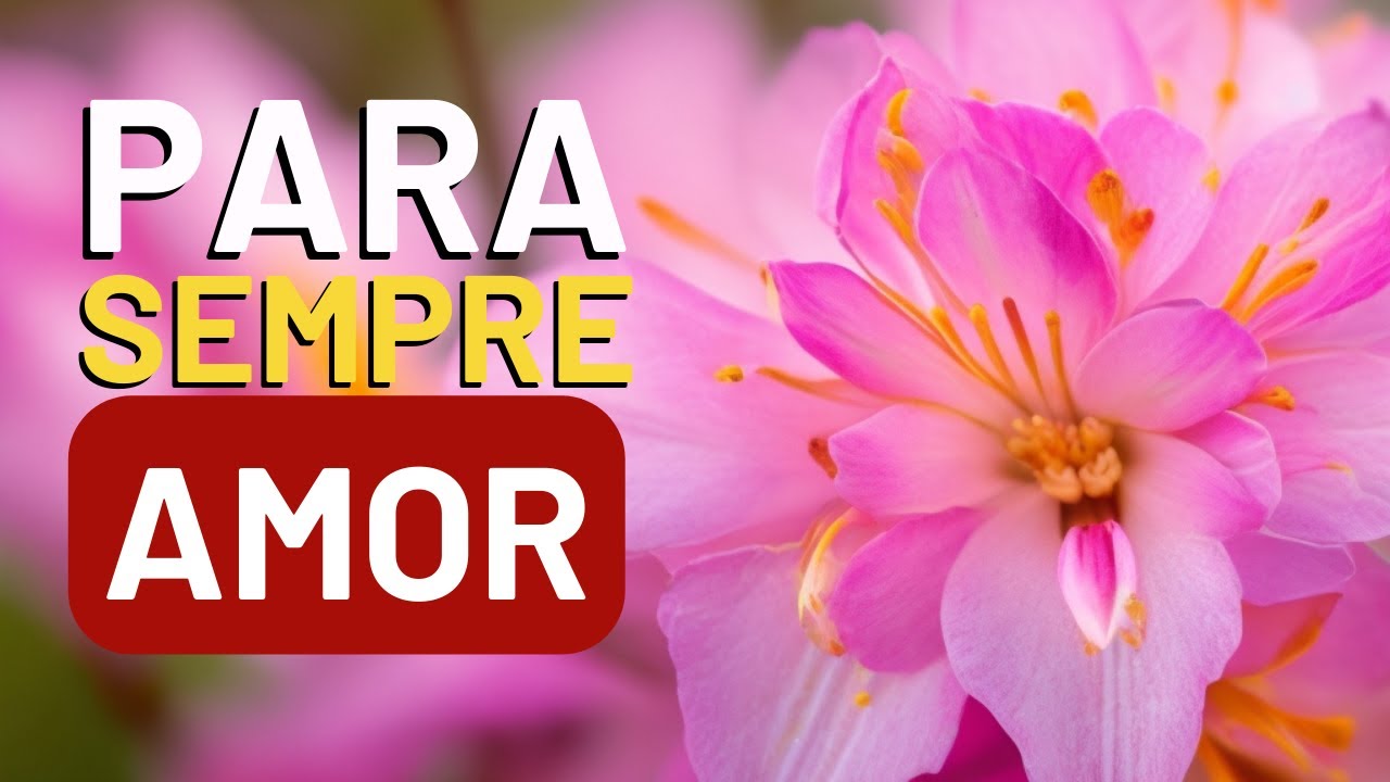 Uma História de Sentimentos Profundos 💖 Mensagem de Amor. - YouTube