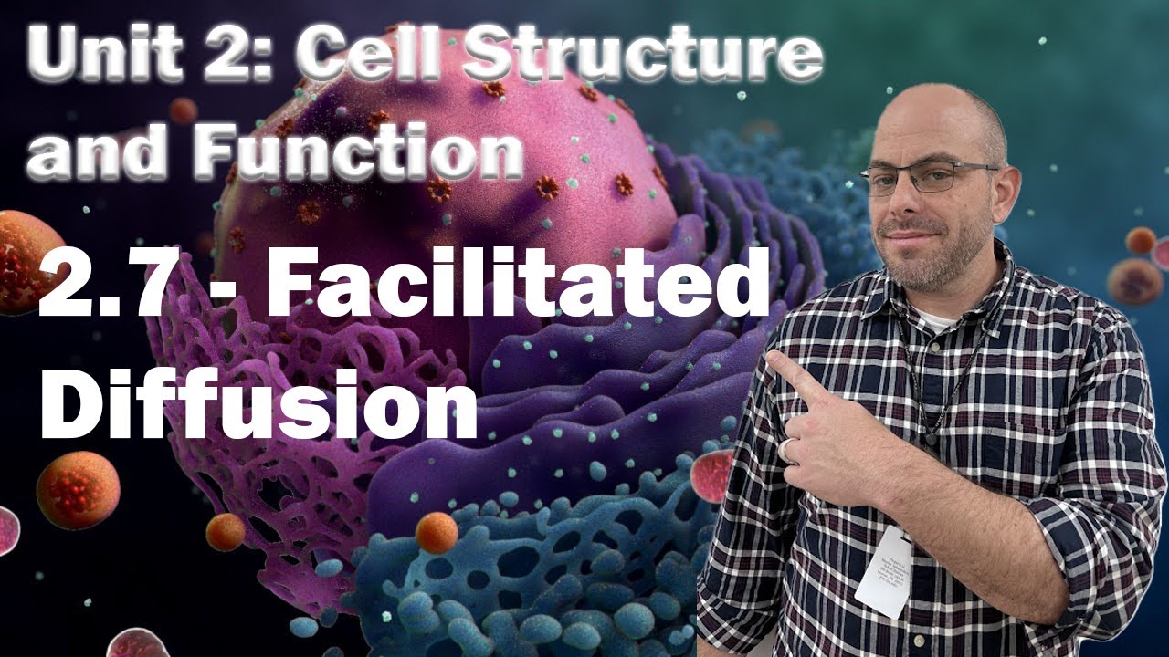 AP Bio Unit 2 - 2.7 - Facilitated Diffusion - YouTube