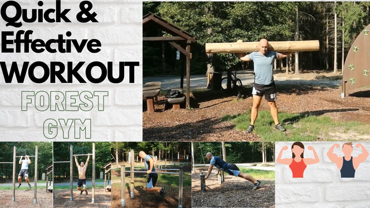 FOREST GYM I NATURE WORKOUT / FULL BODY WORKOUT - YouTube