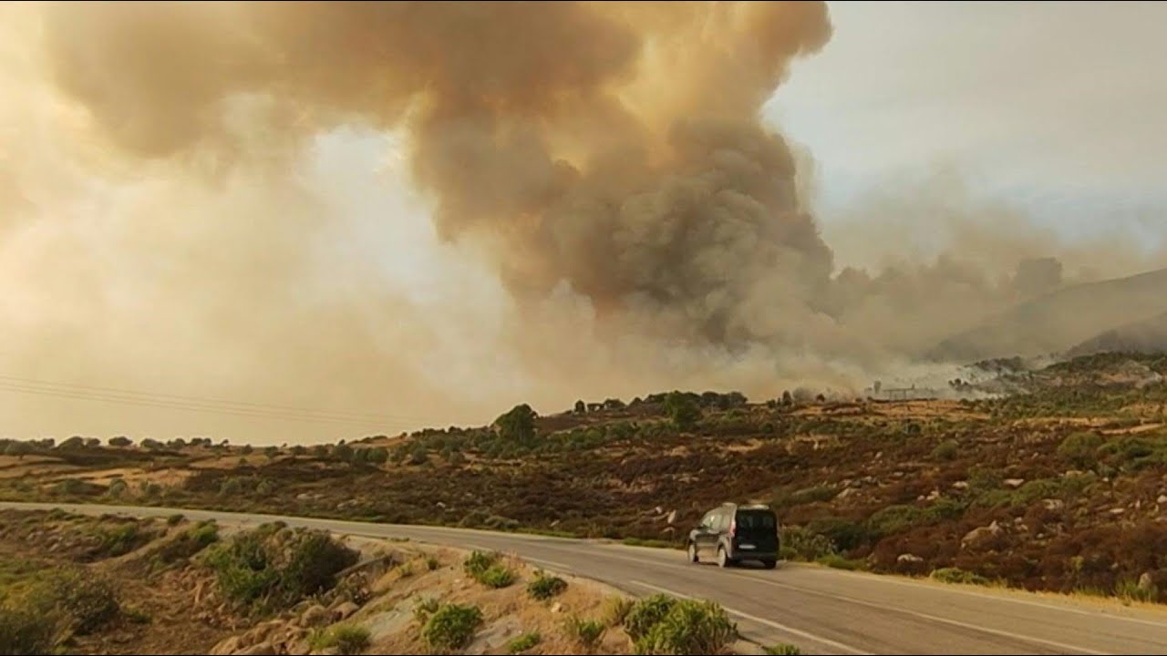 Forest fires rage in northern Morocco | AFP - YouTube