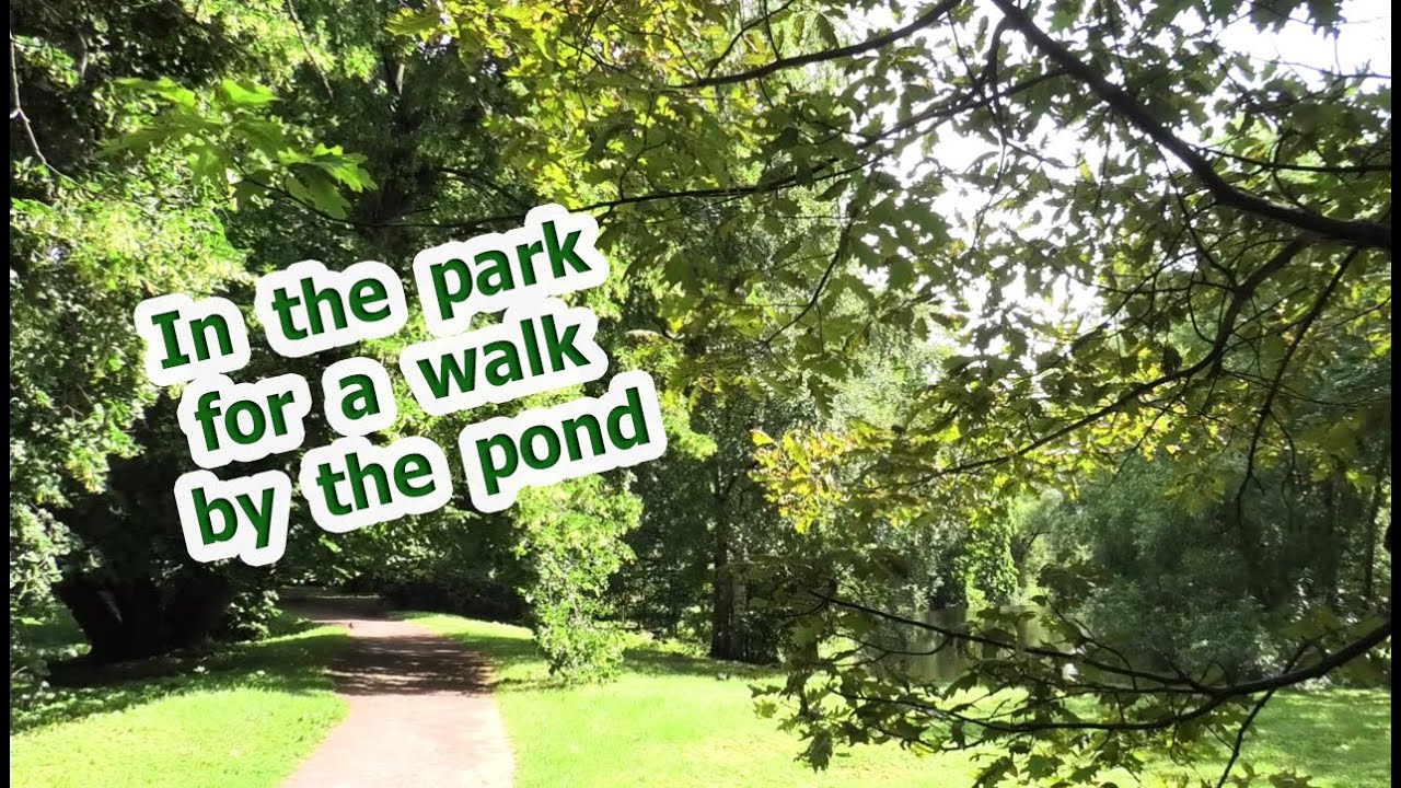 In the park for a walk by the pond/ /Nature /Positive - YouTube