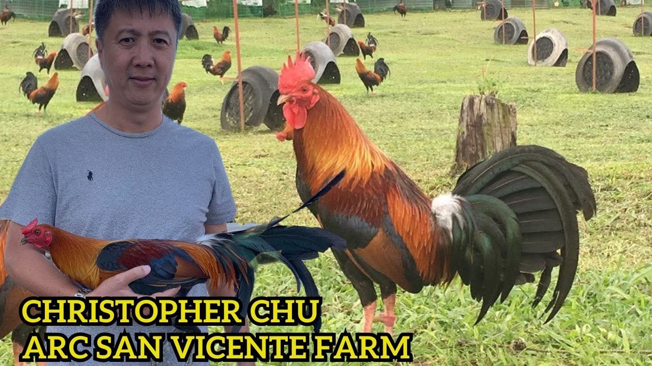 Beautiful Best Big Farm in The Philippines - Christopher Chu ARC SAN ...