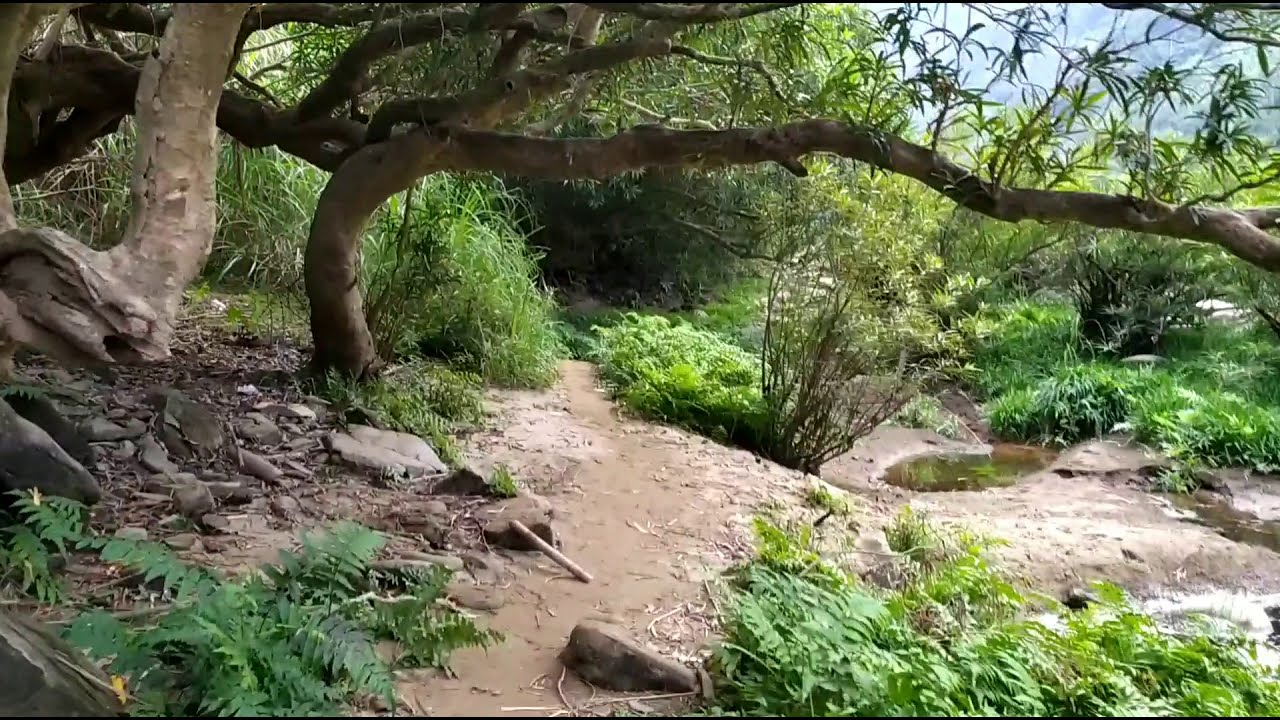 Riverside of Sangu || Sangu River, Bandarban - YouTube