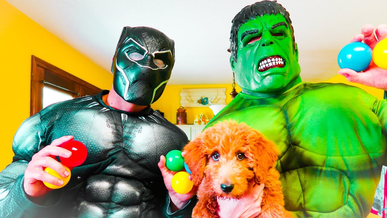 HULK and Daisy the PUPPY'S Daily Routine - YouTube