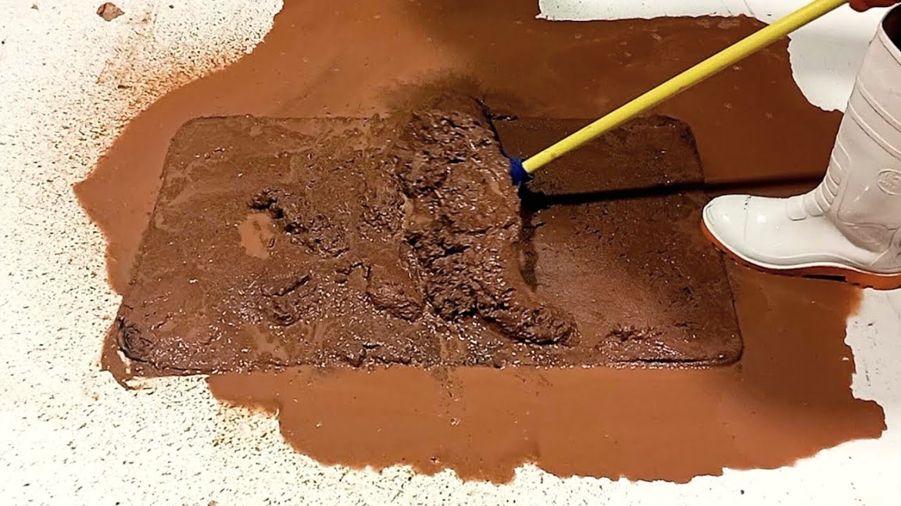 The most enjoyable sequence of mud removal is in this carpet cleaning ...