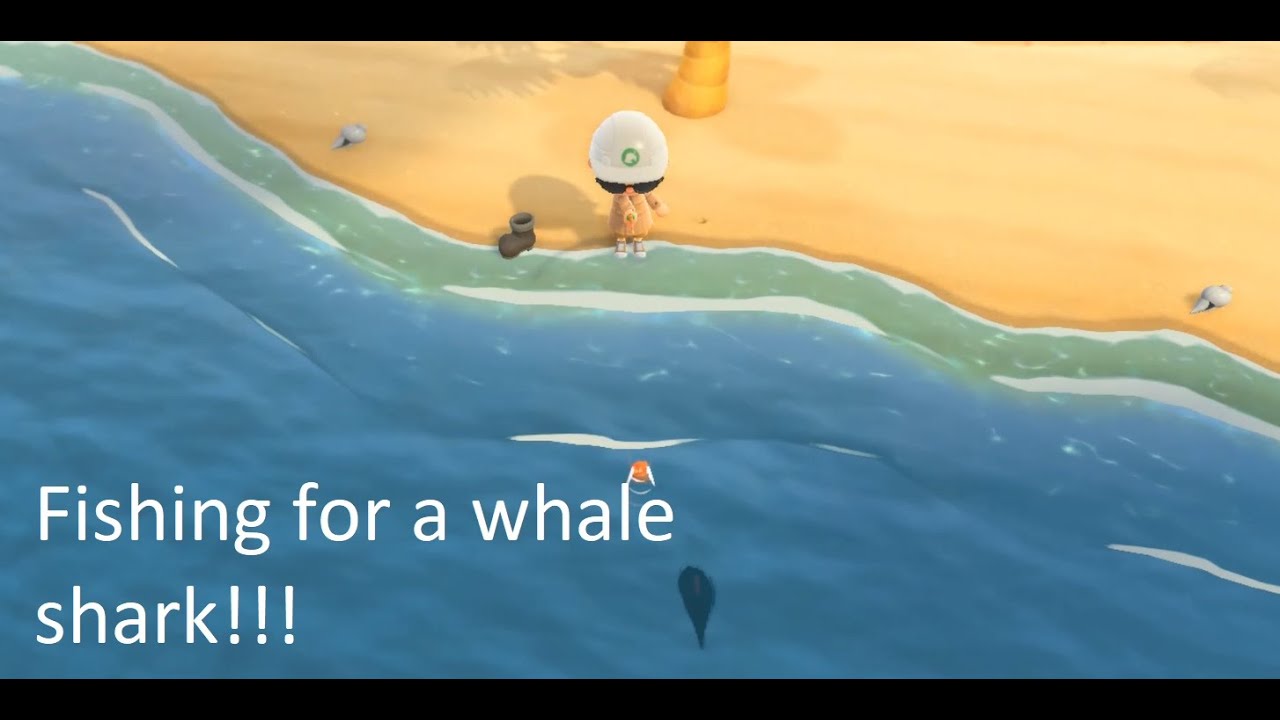Catching a whale shark in Animal Crossing New Horizon!!! - YouTube