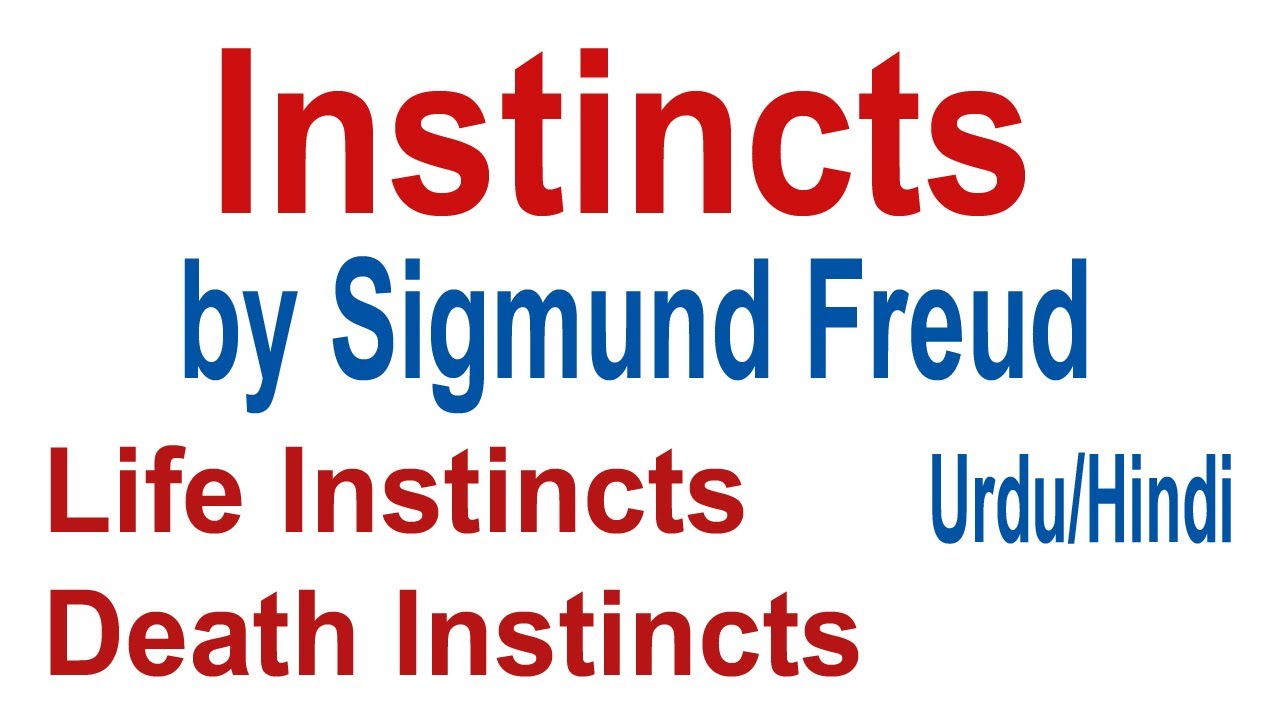 What are Instincts by Sigmund Freud | Life Instincts | Death Instincts ...
