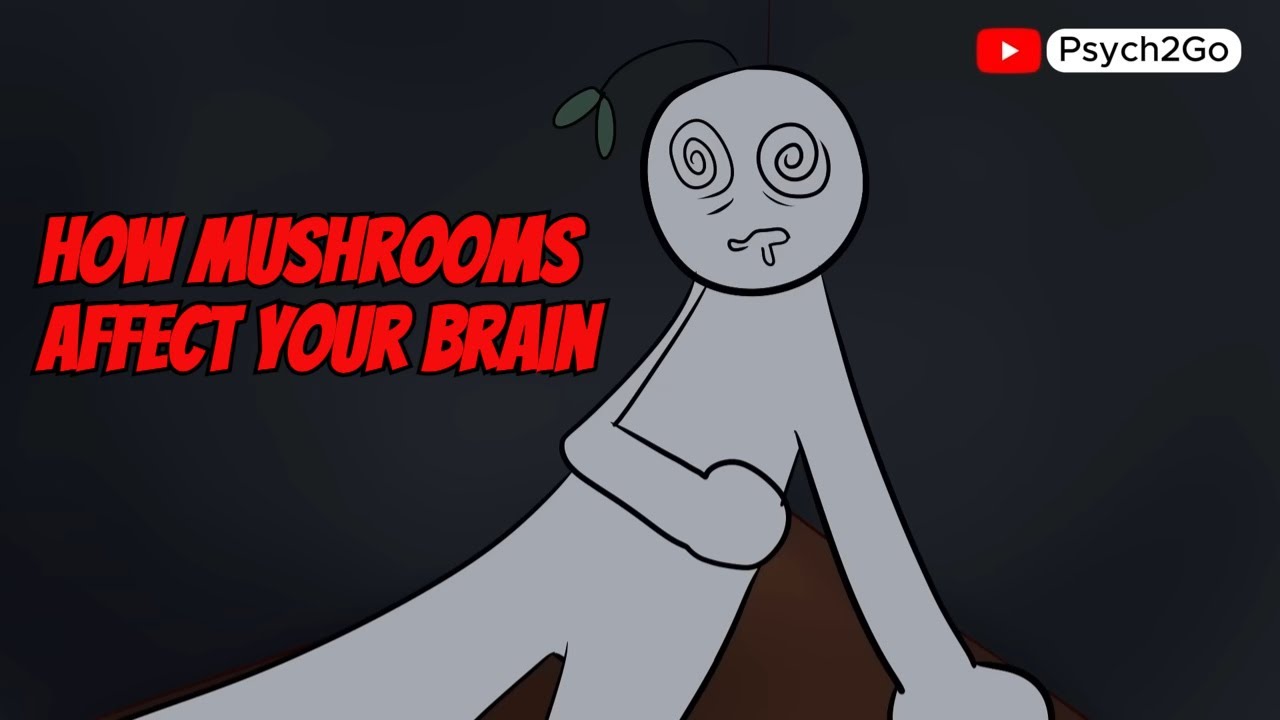 Do Drugs Mess Up Your Brain? 🍄 - YouTube