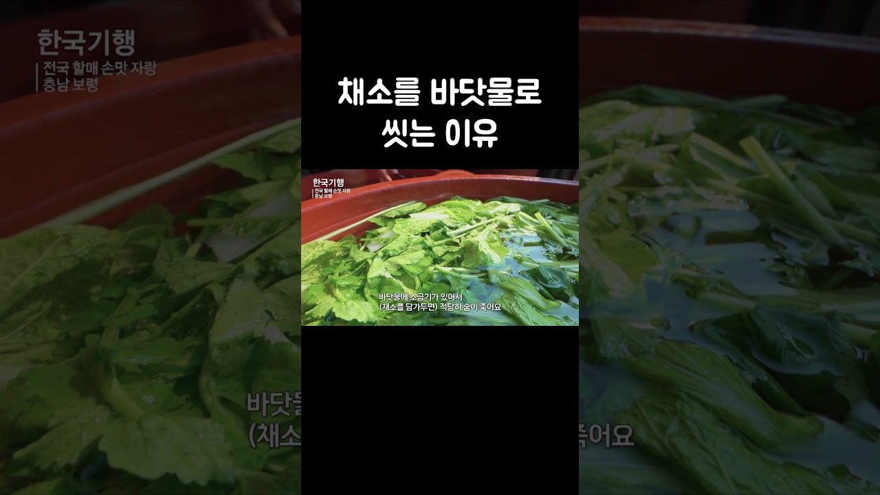 채소 깨끗하게 씻는 방법 #shorts | EBS 다큐