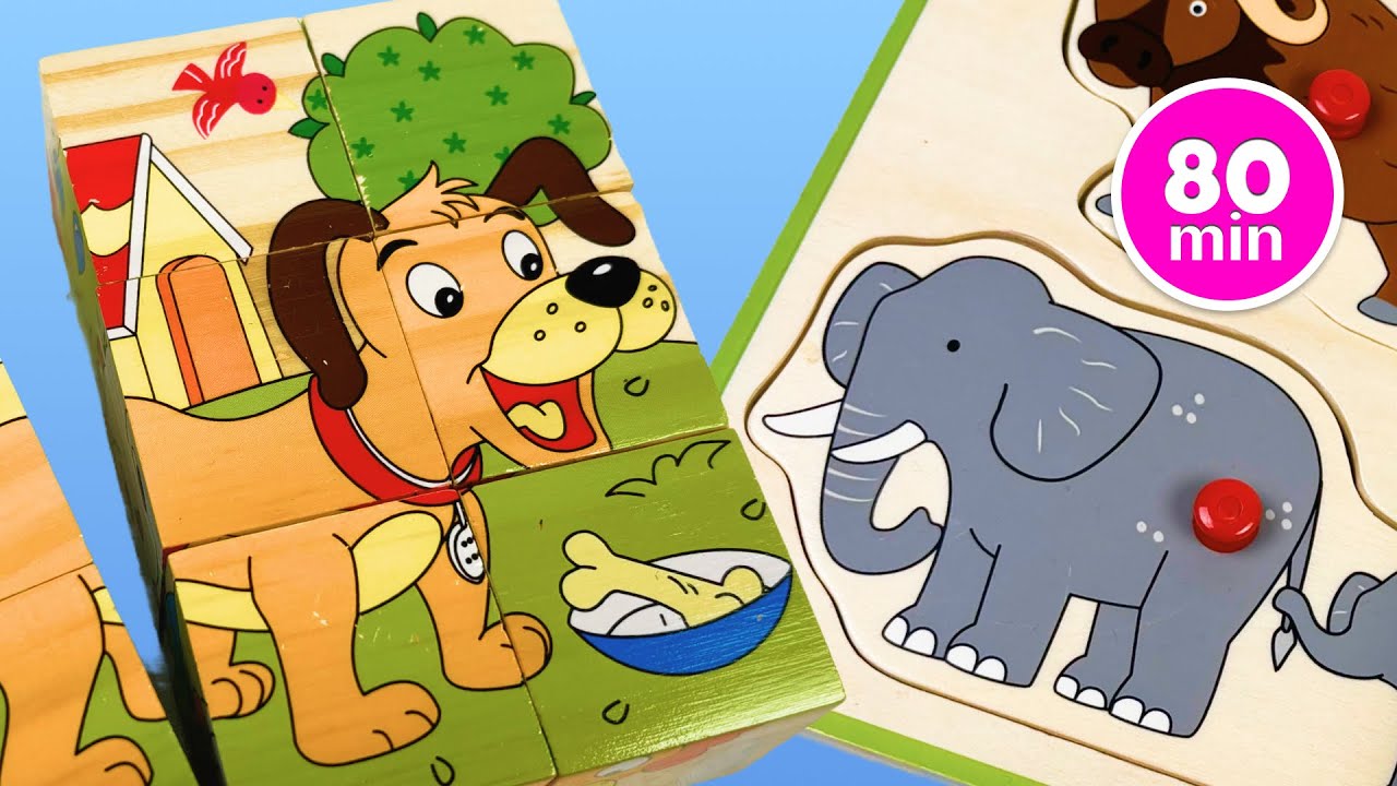 Learn Wild Animal Names, Learn Counting and Numbers with Puzzle Games ...