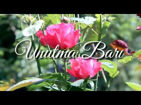 Anar Suleymanov, seirler, Azeri seirleri,  \