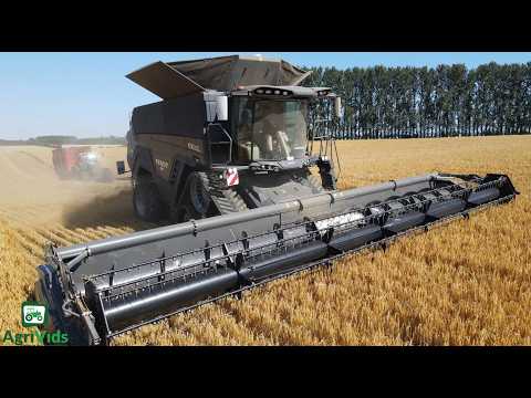 Harvest 2026. Fendt Ideal 9t Braggs Farming