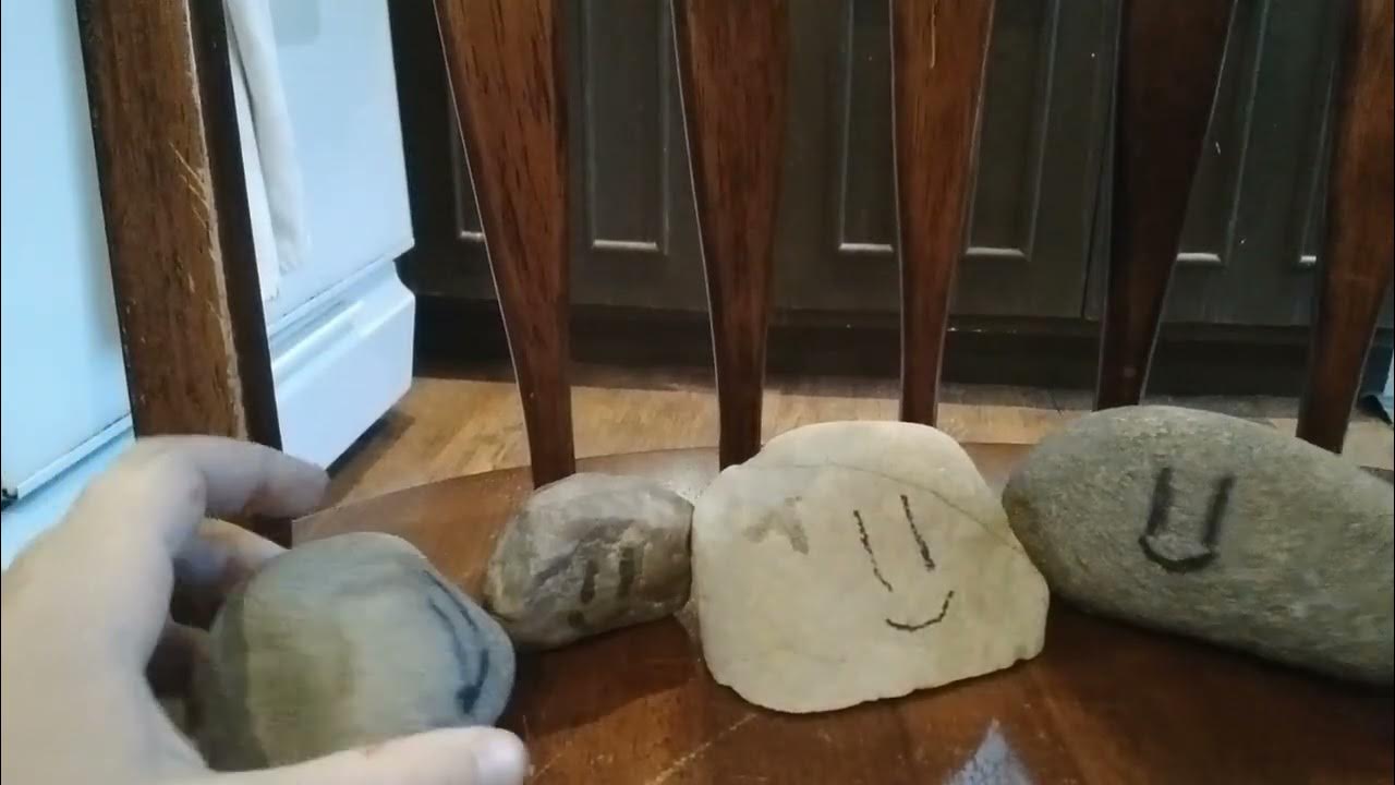 my pet rocks intro - YouTube