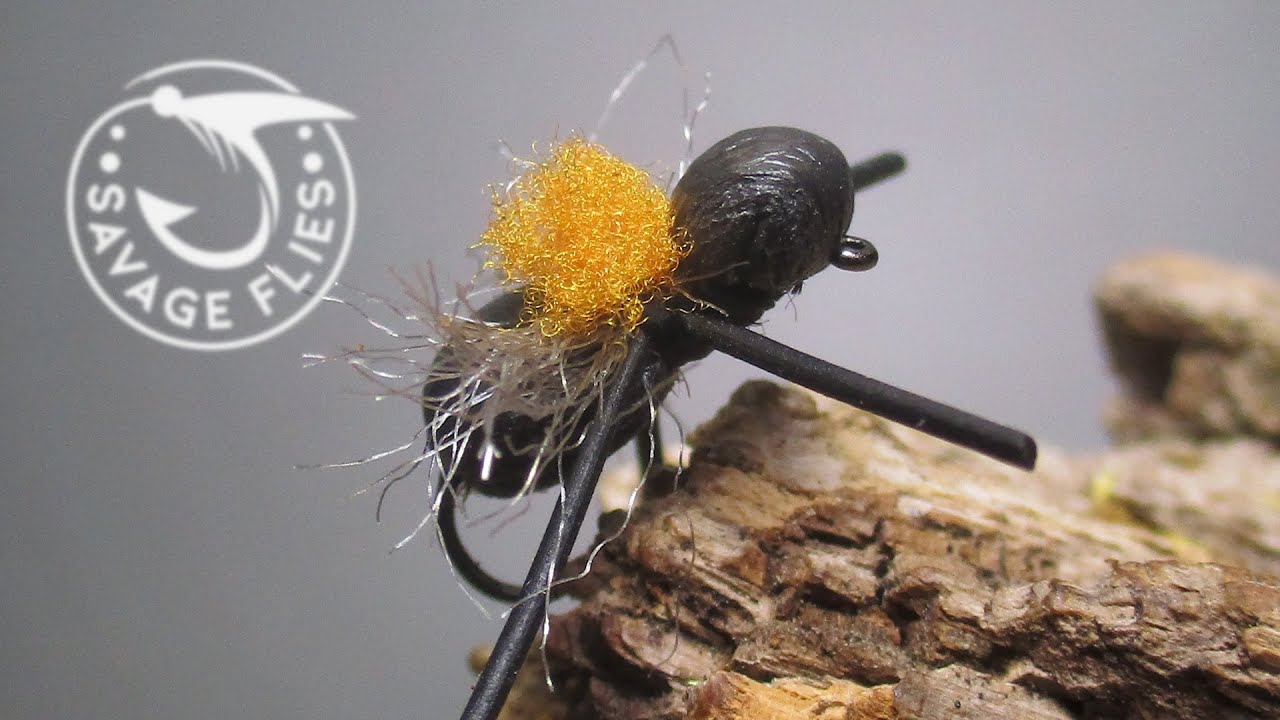 Fat head and fluorescent (a new beetle/terrestrial fly pattern) - YouTube