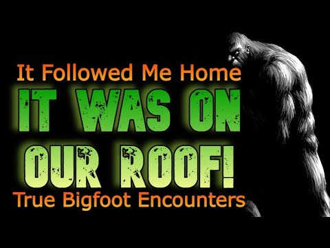 IT WAS ON OUR ROOF! It Followed Me Home! - YouTube