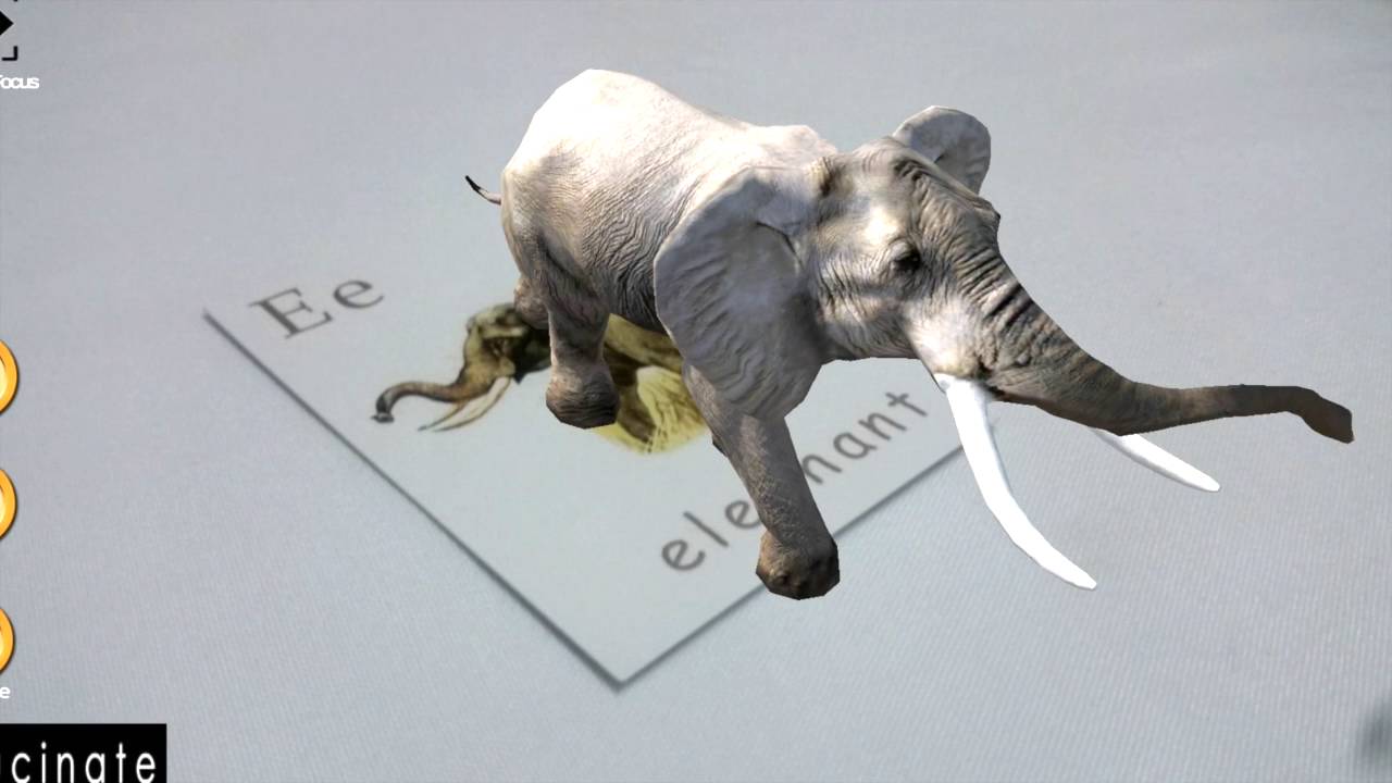 Halucinate - Live Animals 4D Intro With Demo - YouTube