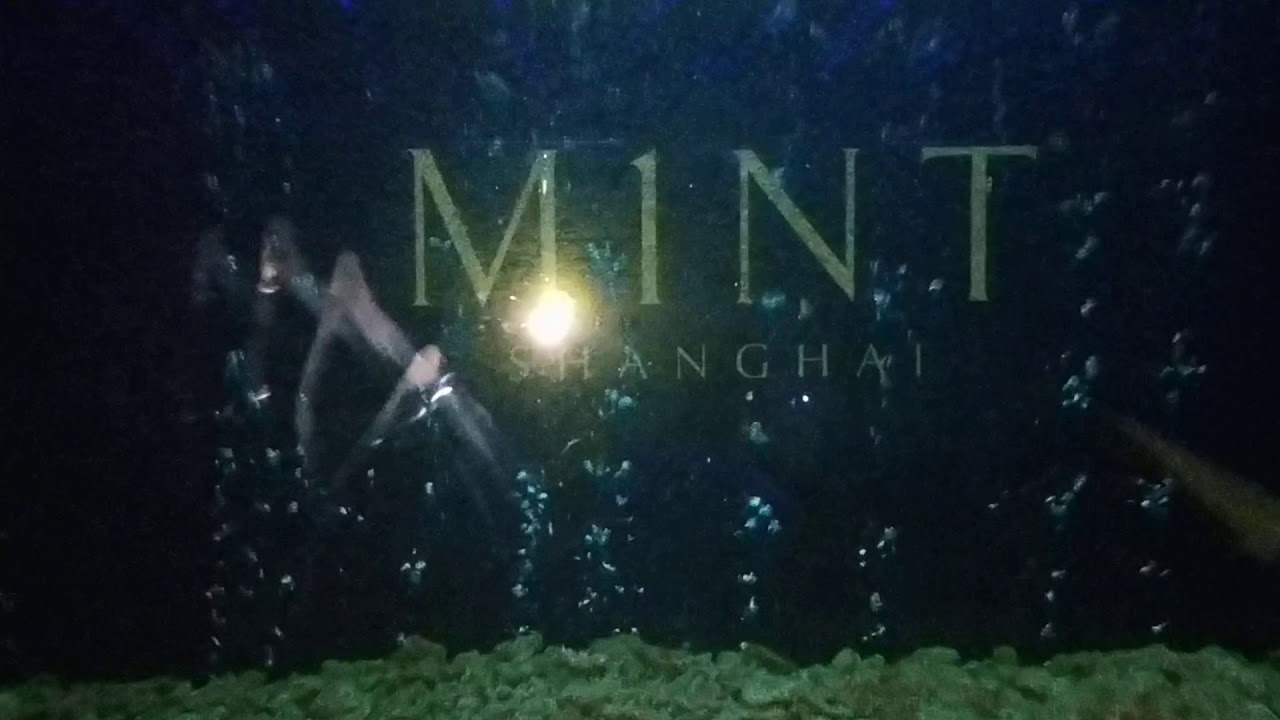 M1NT club in Shanghai discoteca con i squali dentro - YouTube