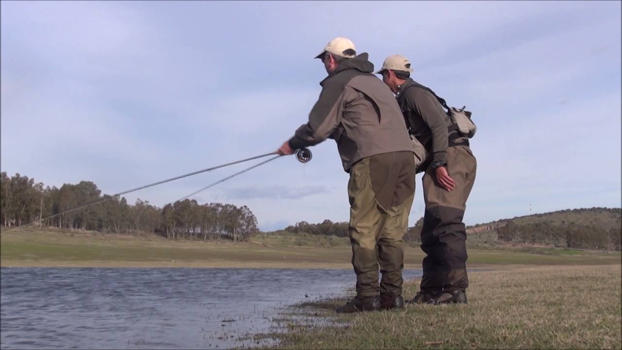 The Spanish Barbel - YouTube
