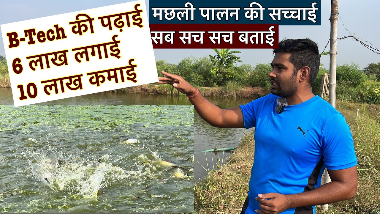 मछली पालन से मोटा💪कमाई fish farm bihar 🐟 palan #fishfarminginbihar#fish ...