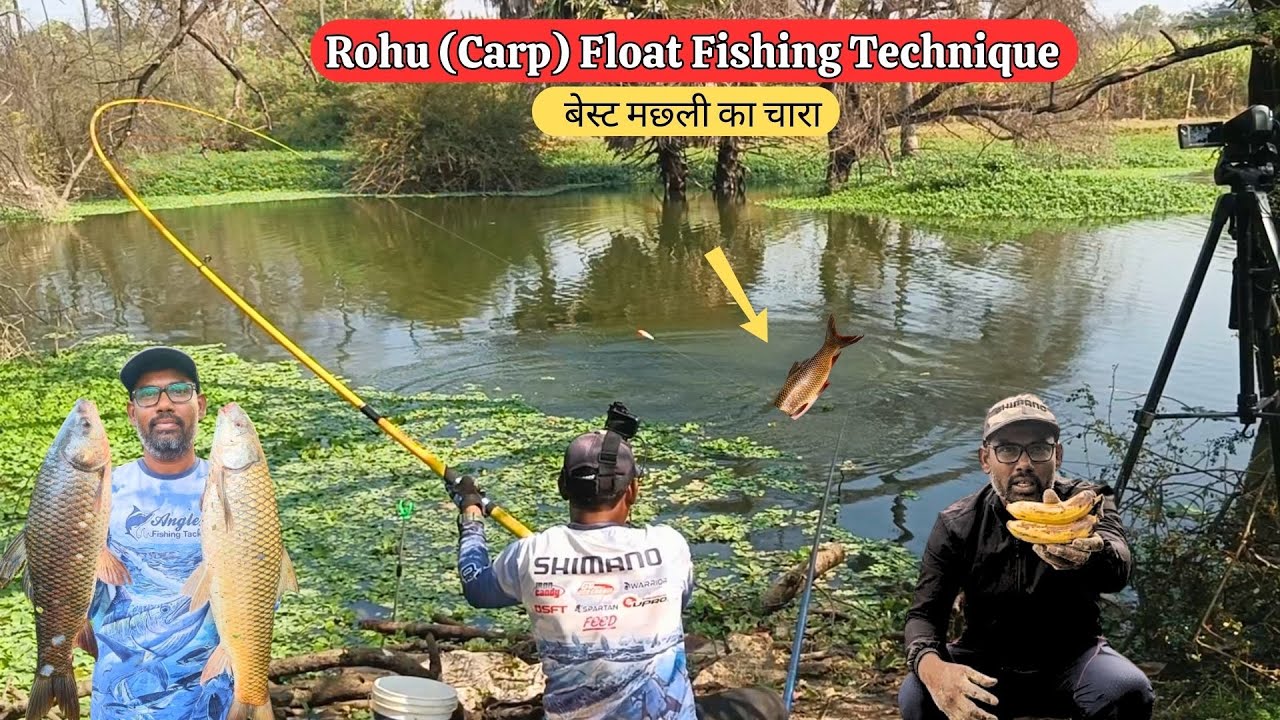 Rohu Machli Ka Chara Hindi | Hyderabad Fishing Bait | Fish Charai ...