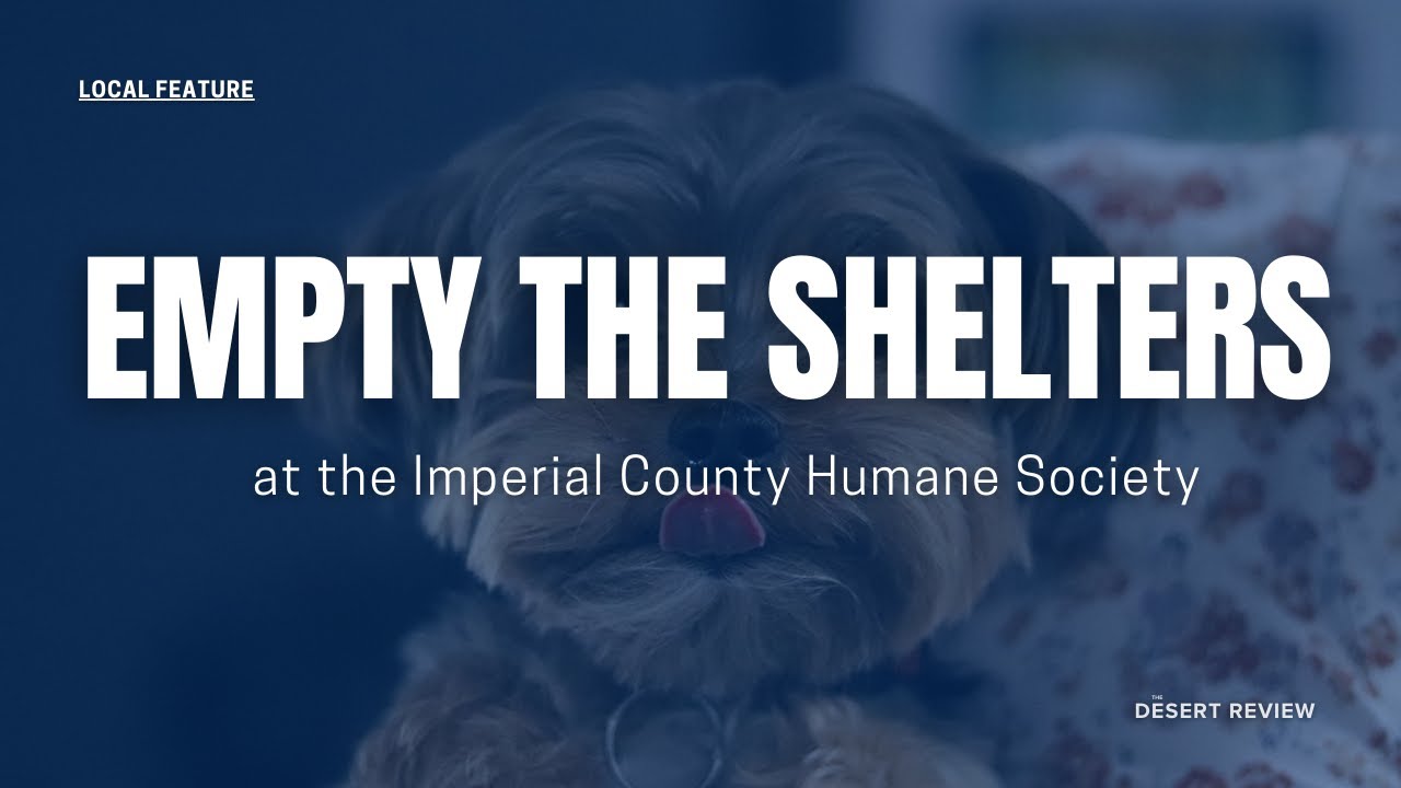 LOCAL: Empty the Shelters at the Imperial County Humane Society - YouTube