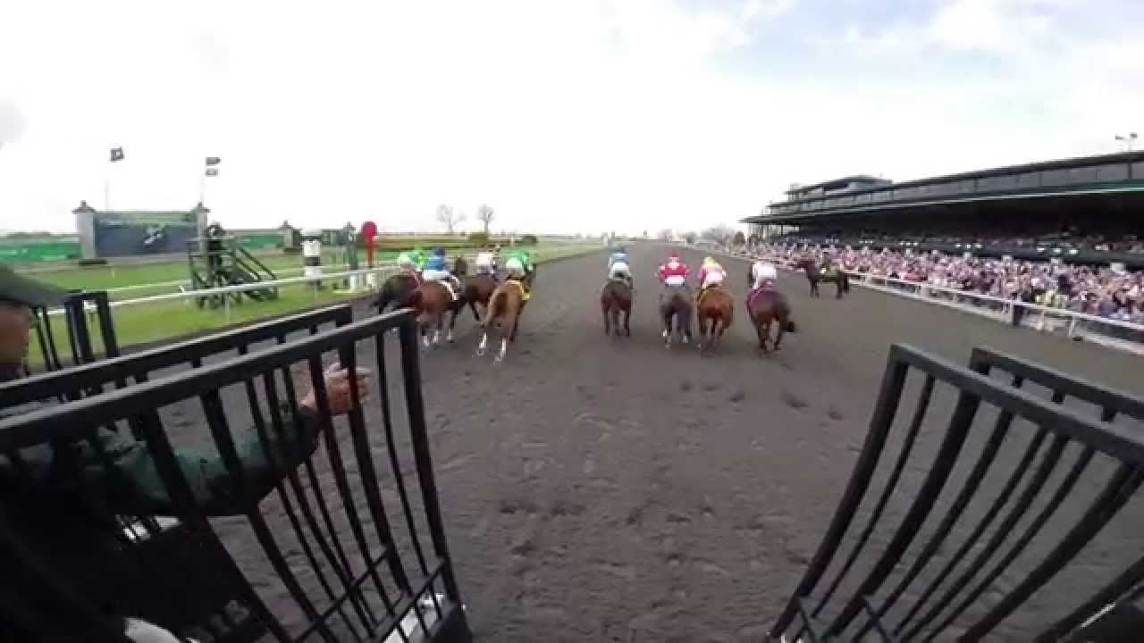 Keeneland view from the starting gate - YouTube