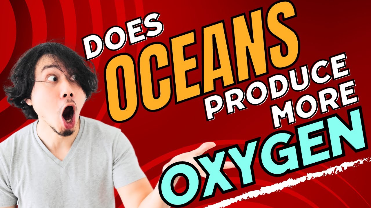 Unveiling the Secrets: How Phytoplankton Power Earth's Oxygen ...