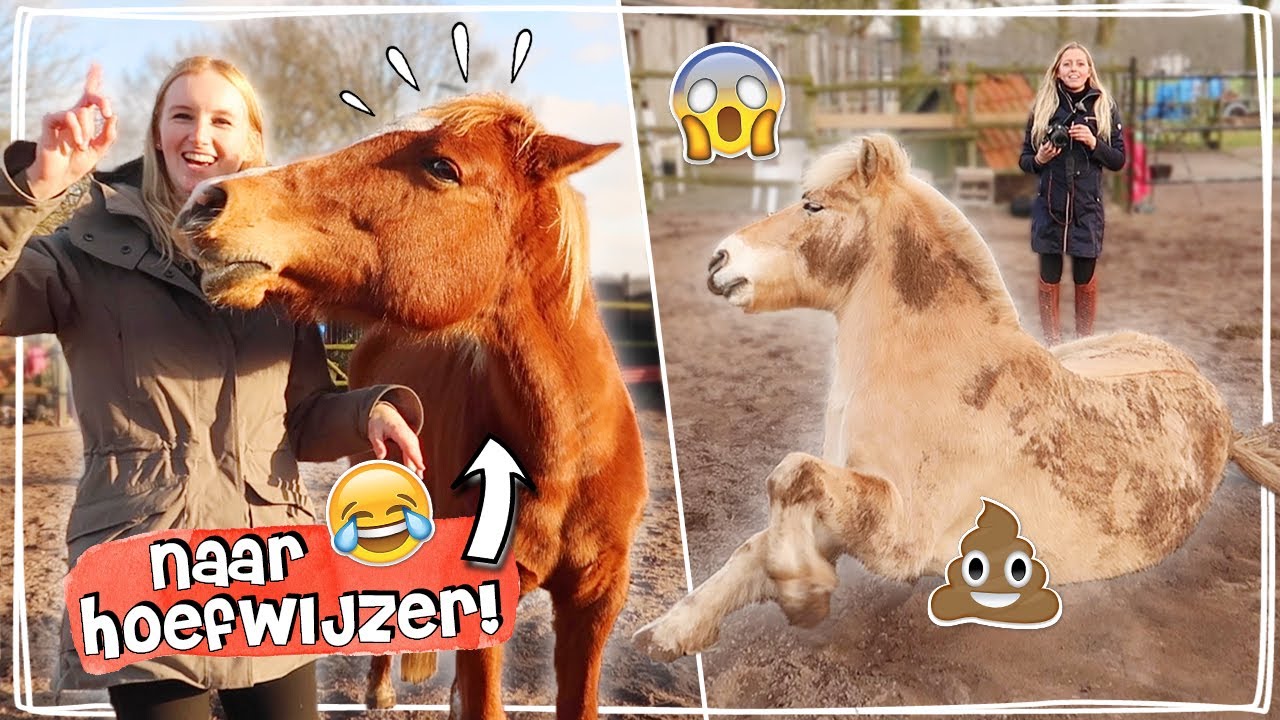 OP BEZOEK BIJ FENNA’S NIEUWE STAL & MOOS ROLT TIJDENS DE OPNAMES 😂 ...