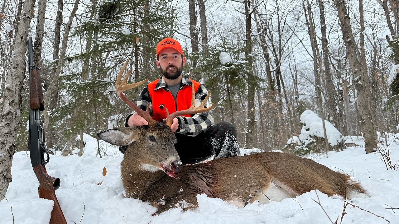 Tracking A Nice Adirondack 8 Pointer - YouTube