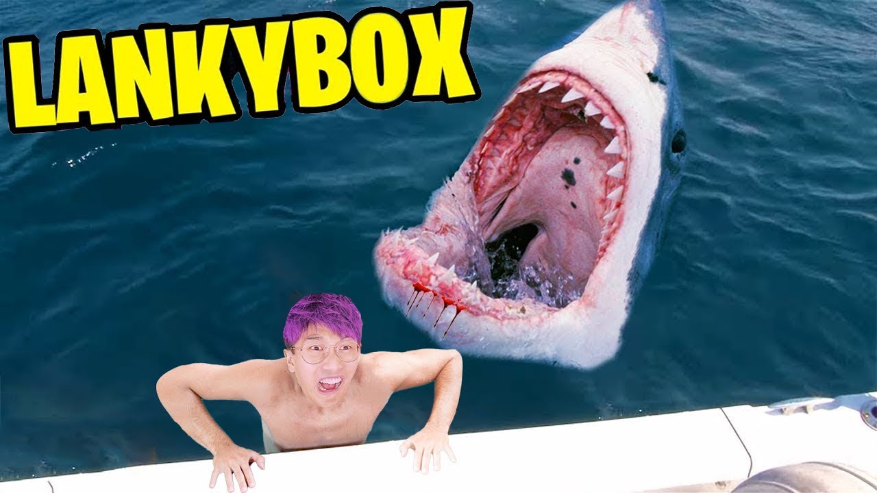 LankyBox fell into the shark tank then.. - YouTube