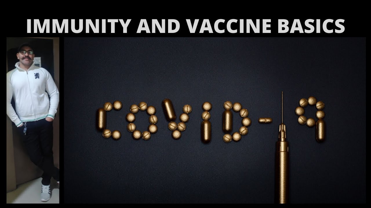 Immunity and vaccine basics - YouTube