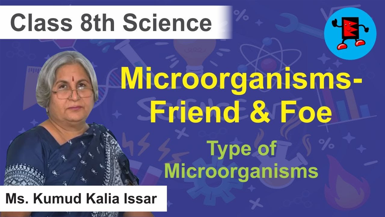 CBSE Class 8 Science Microorganisms Friend & Foe Types of ...
