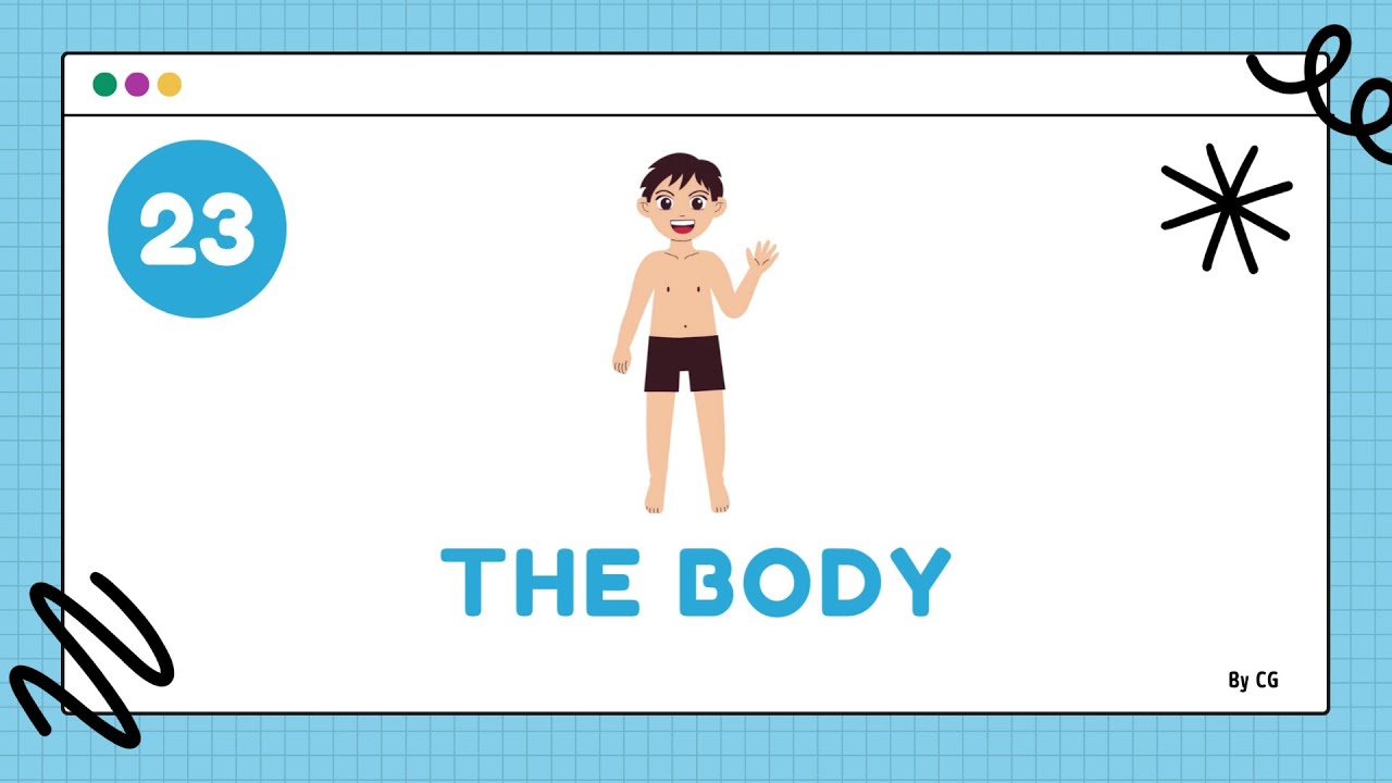 23 THE BODY - ENGLISH VOCABULARY - YouTube