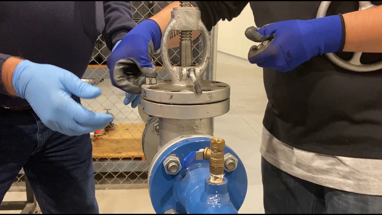 Blue Checking a Globe Valve - YouTube