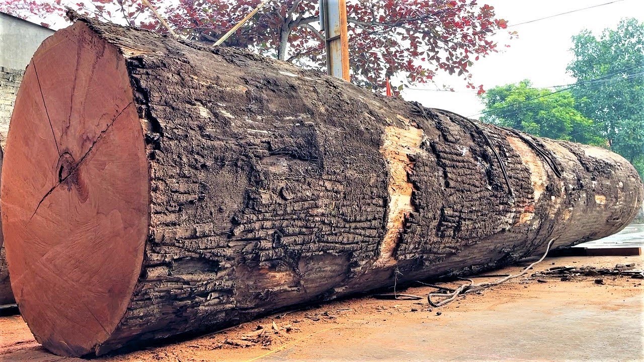 Amazing Sawmill Wood Cutting - Giant Wood Factory Operating At Full ...