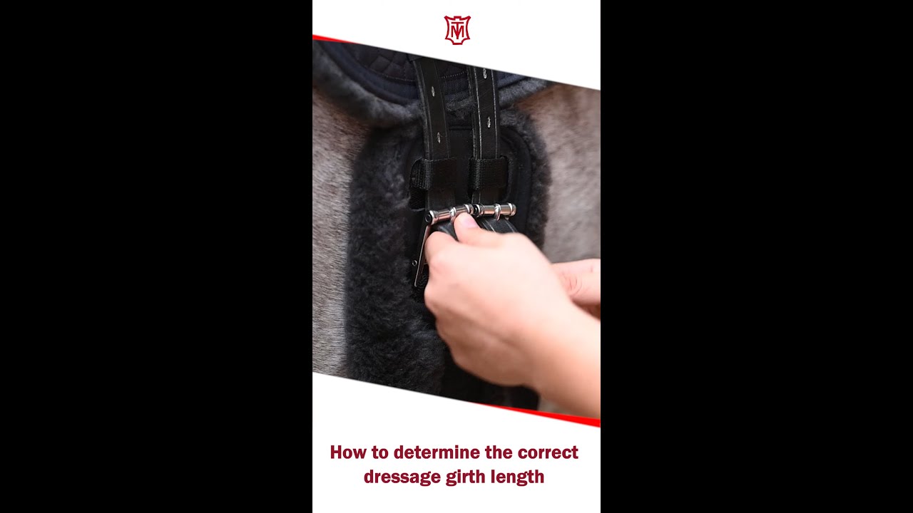 How to Measure a Mattes Short Girth - YouTube
