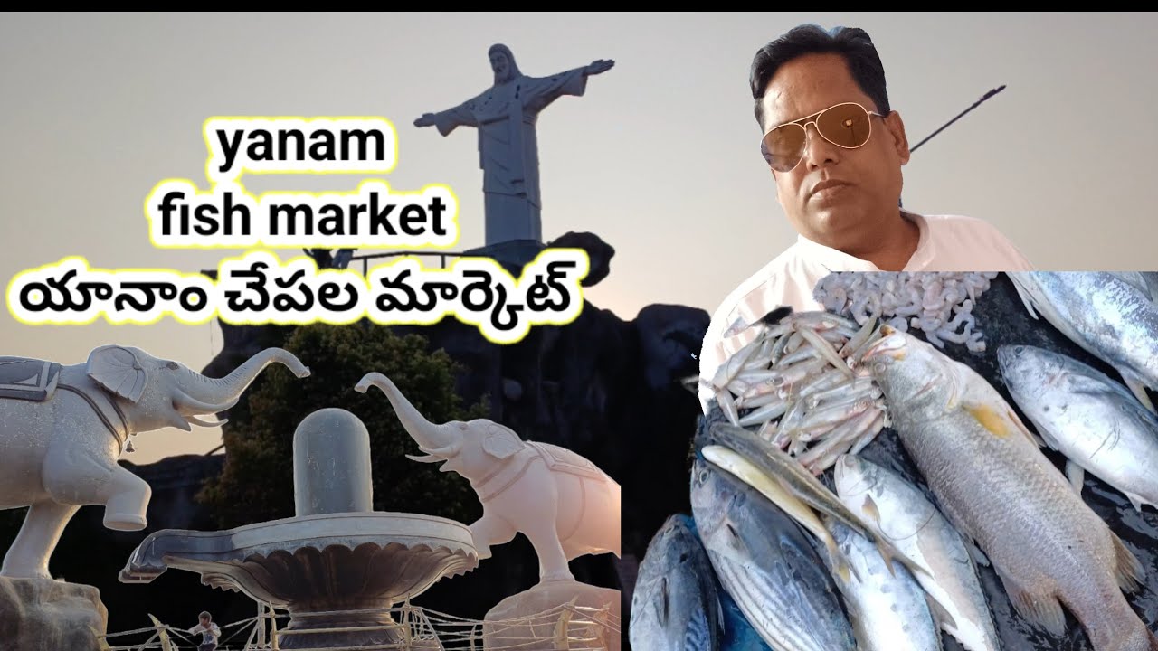 yanam fish market యానాం చేపల మార్కెట్... - YouTube