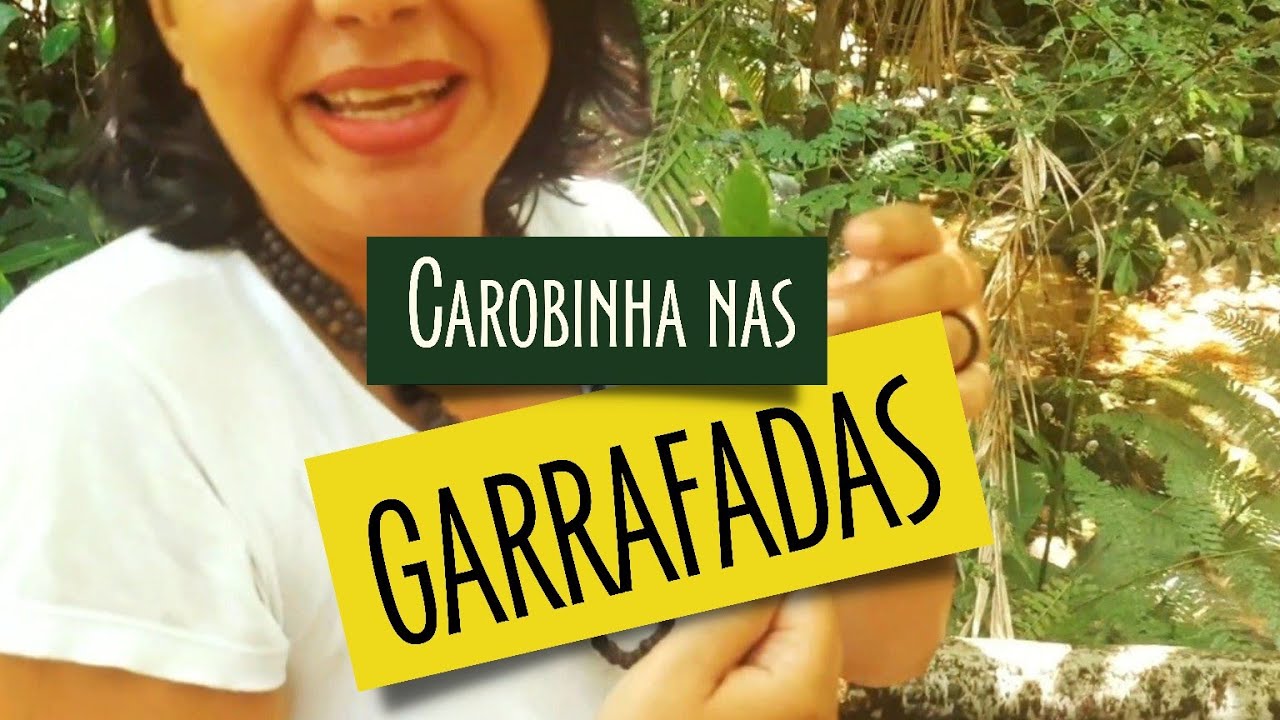 Carobinha nas Garrafadas - YouTube