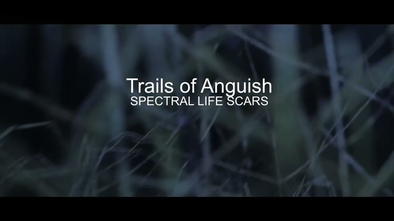 Hessian Firm Releasing Compilation Album from Canadian Black Metal Duo ...