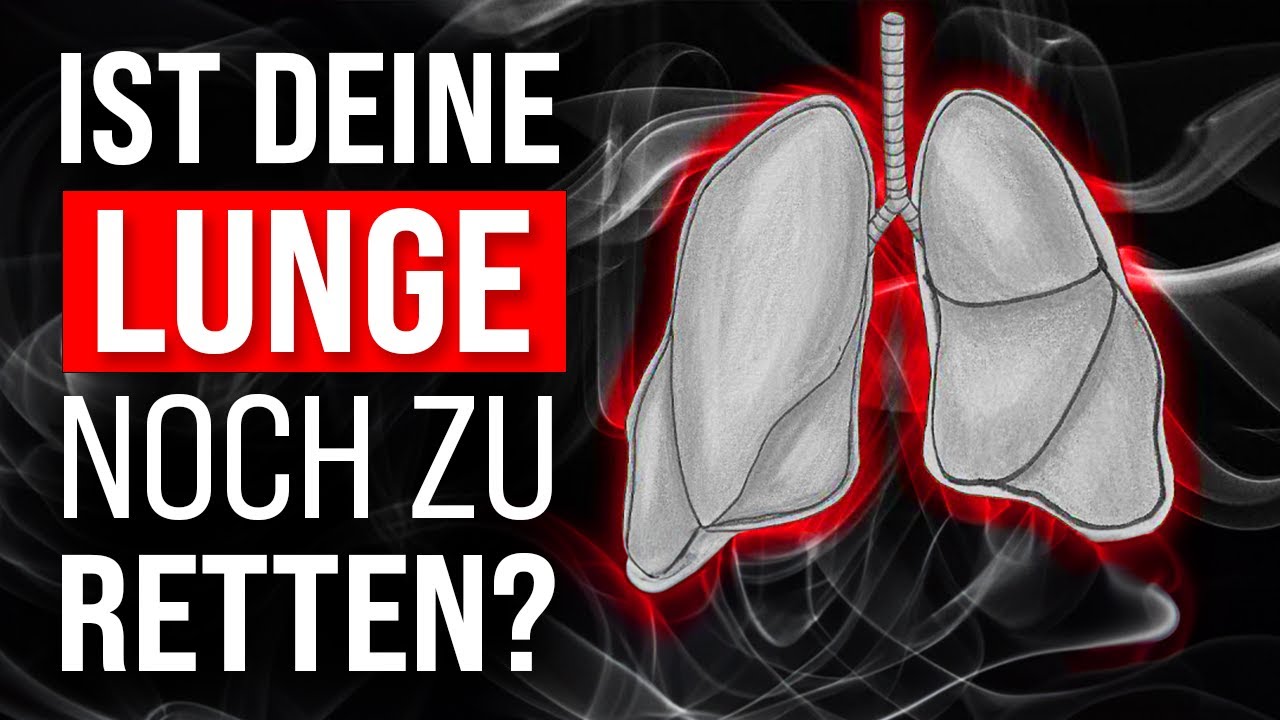 Schon zu spät? Wann geht die Raucherlunge los und woran erkennt man sie ...