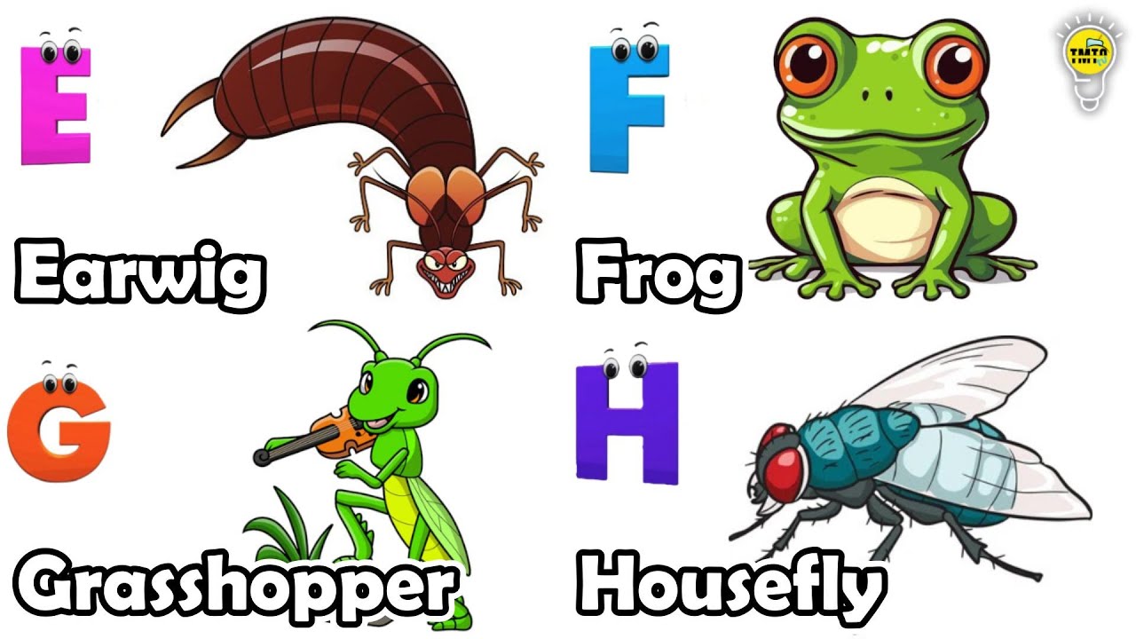 Abc Insect Song | A to Z Insects Song | Insects Alphabet song | Phonics ...