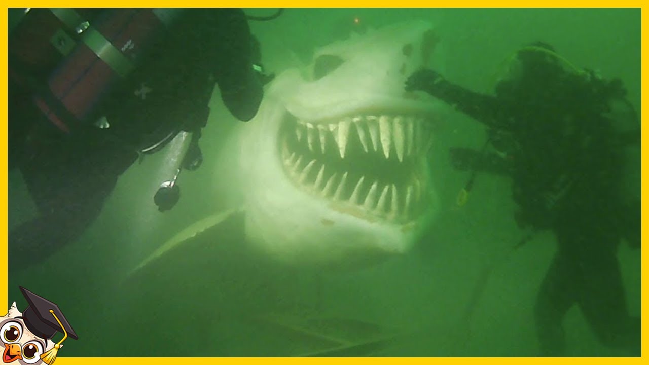 10 Choses Effrayantes Trouvées par les Plongeurs - YouTube