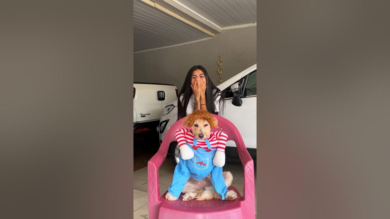 Comprei uma fantasia pro Slink - YouTube