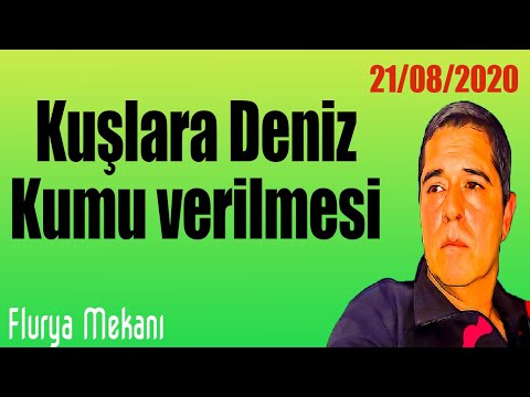 Flurya Mekanı - Kuşlara Deniz Kumu Verilmesi