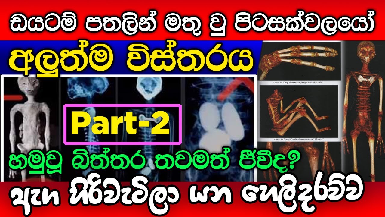 Aliens mexico sinhala නවතම සොයාගැනීම් Alien mexico sinhala - YouTube