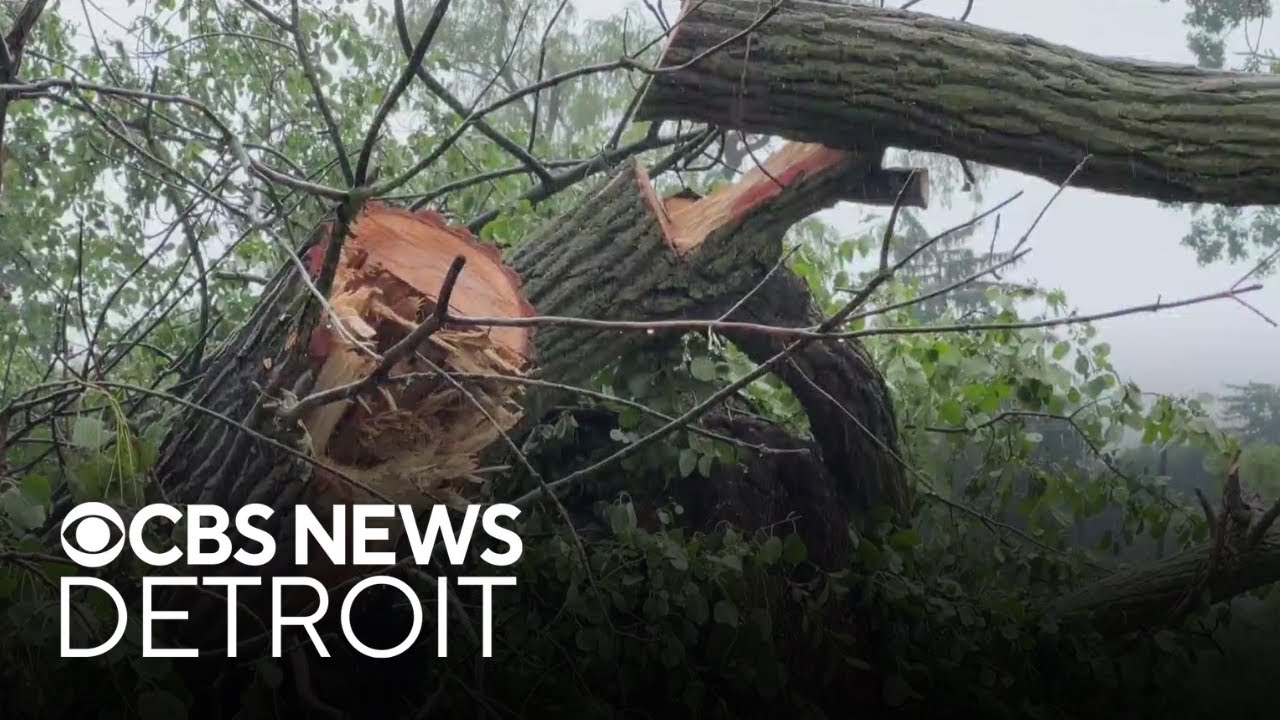 Metro Detroit struggles with power outages and storm damage after ...