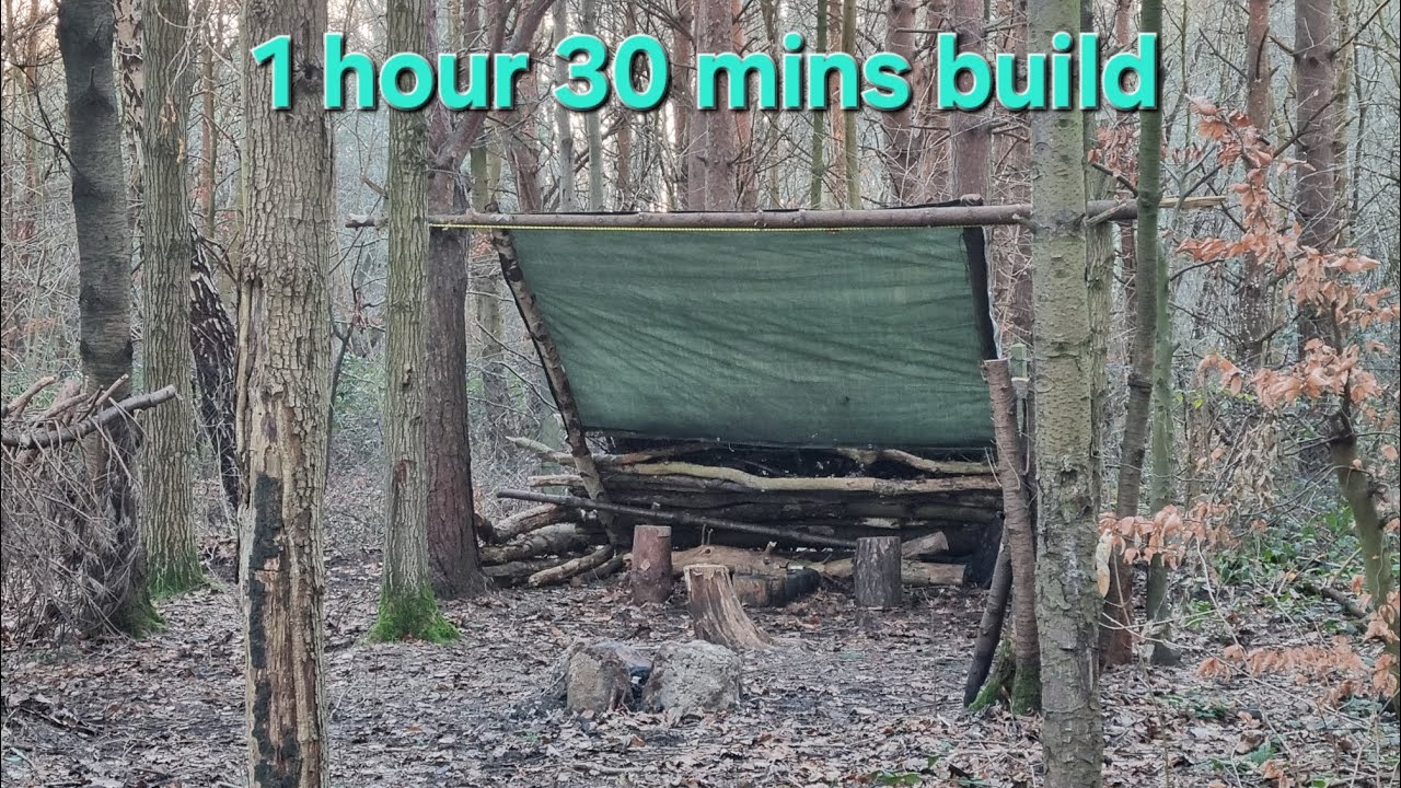 building a lean-to shelter and a forest clean up ep-1 - YouTube