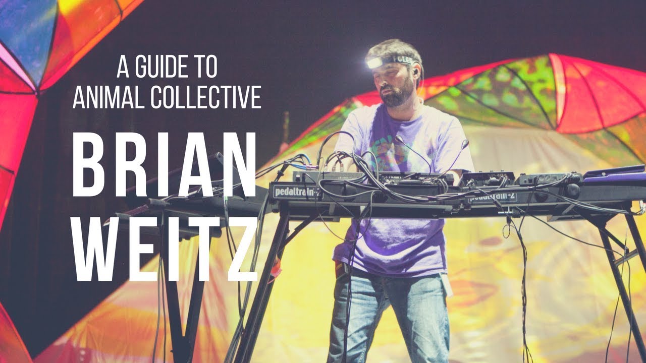 A GUIDE TO ANIMAL COLLECTIVE: Brian Weitz - YouTube